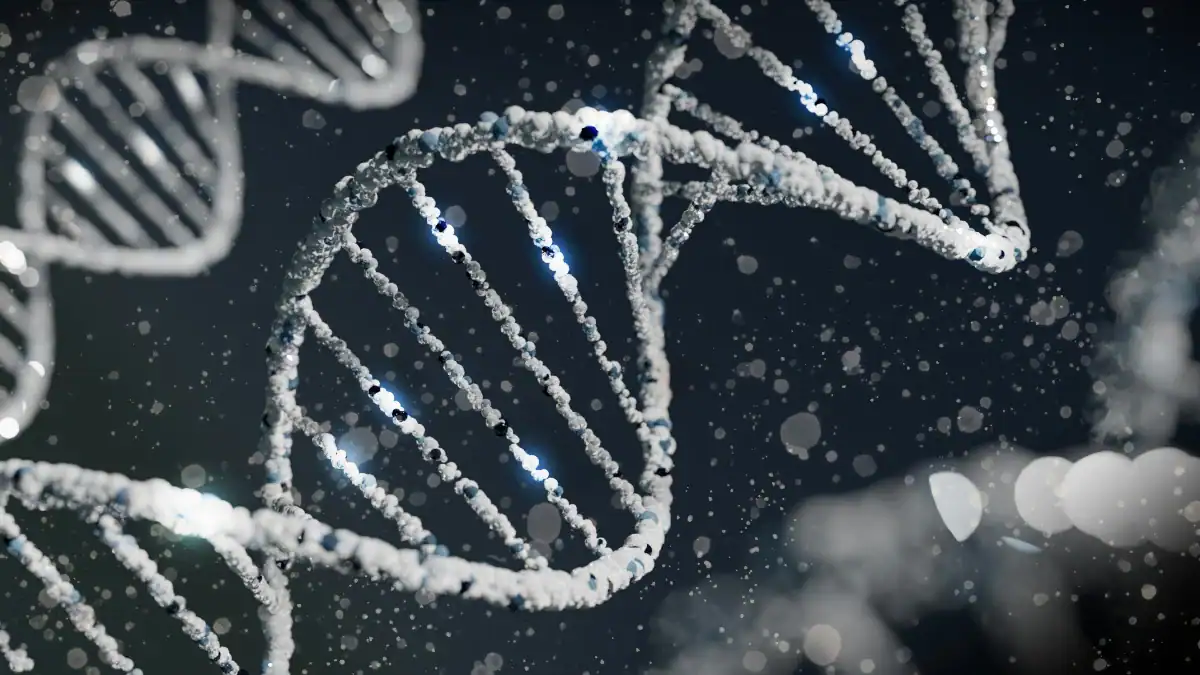 Epigenetic DNA Testing – How An Understanding Of Your Genetics Can ...